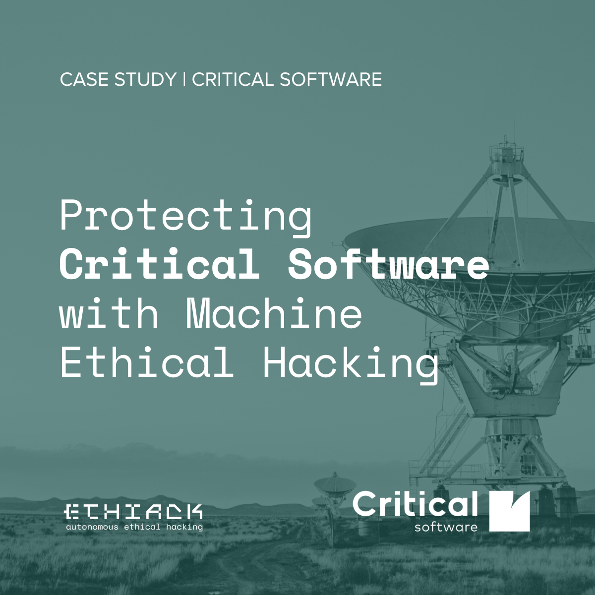 Protecting Critical Software with Machine Ethical Hacking